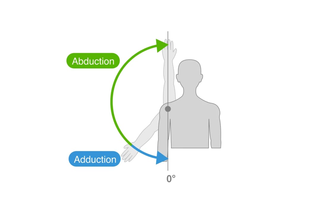 Adduction and Abduction: Definition and Examples for Coaches